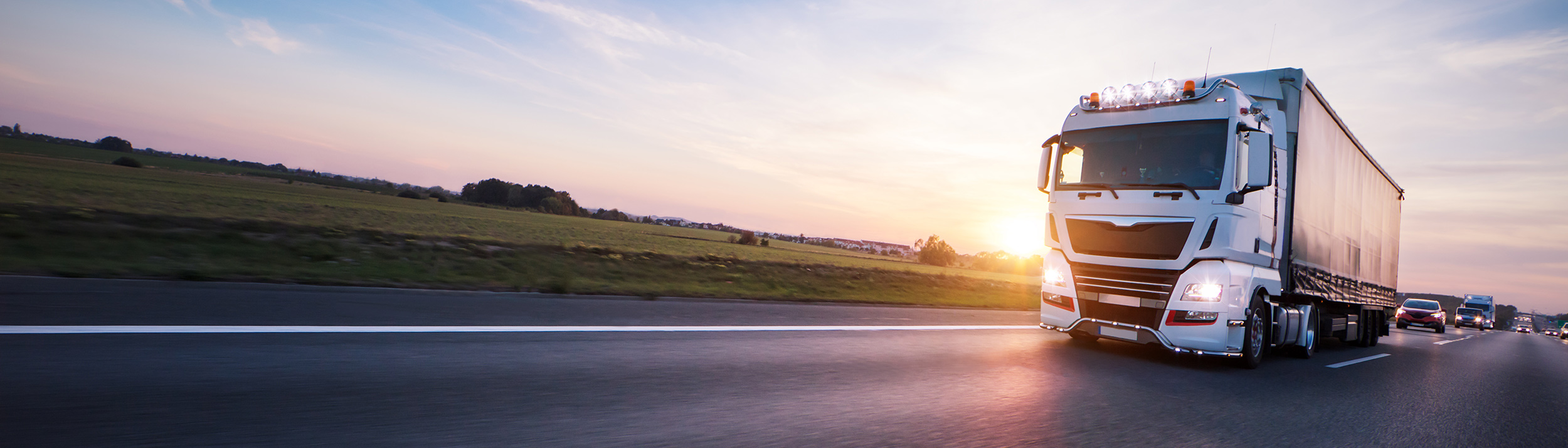 Diensten - Maco NL - SGS e-Customs - Customs Made Simple