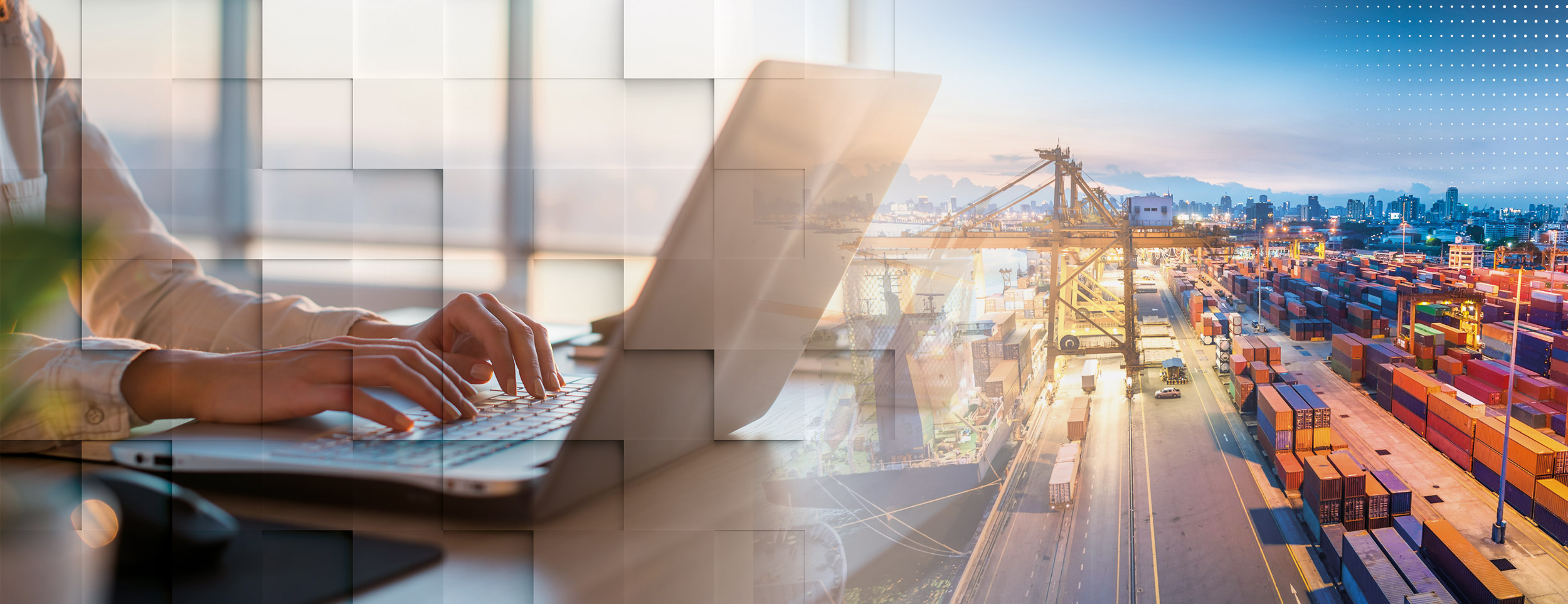 Customs Made Simple - SGS e-Customs