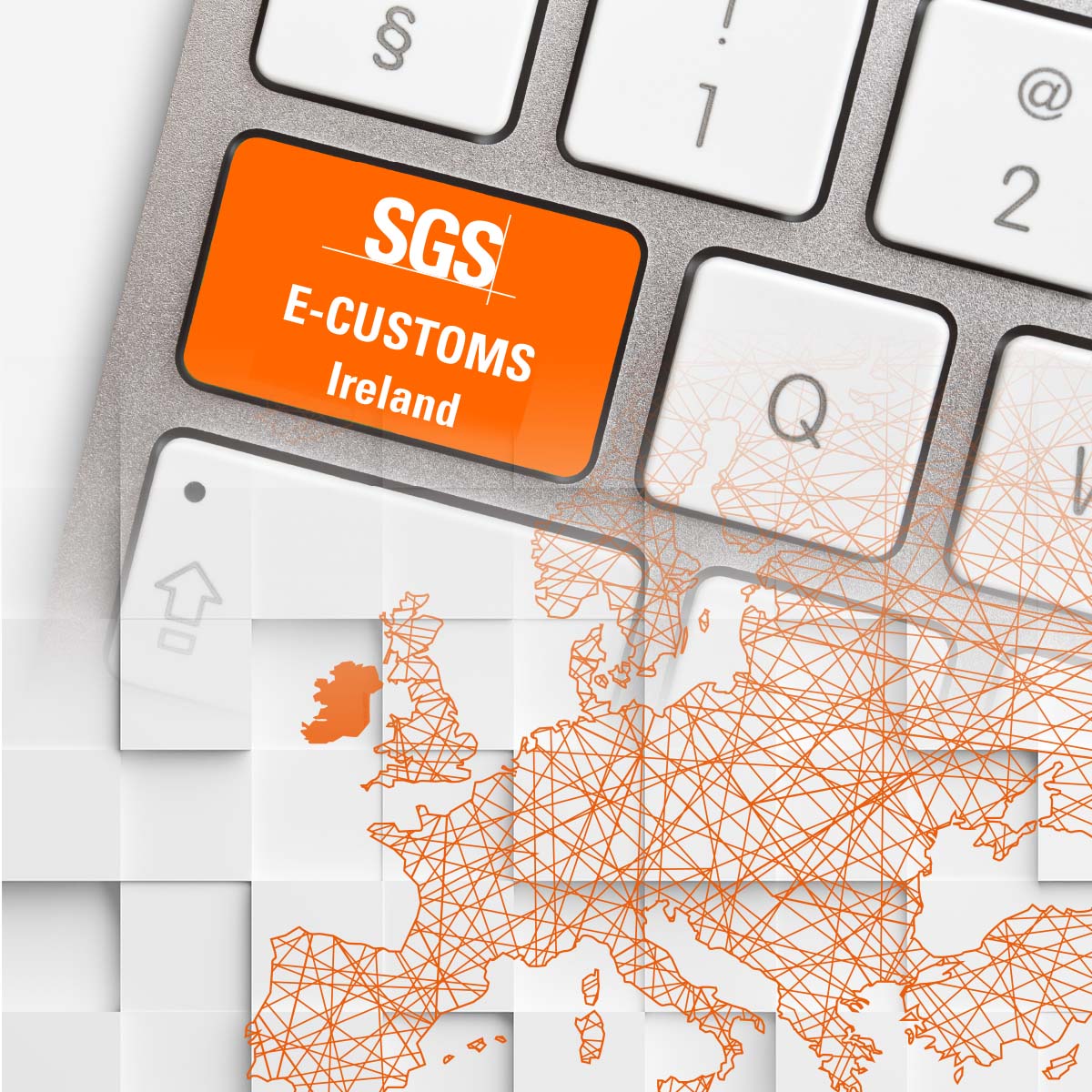 SGS e-Customs Ireland - SGS e-Customs