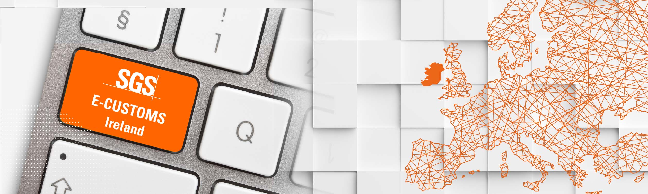 SGS e-Customs Ireland - SGS e-Customs