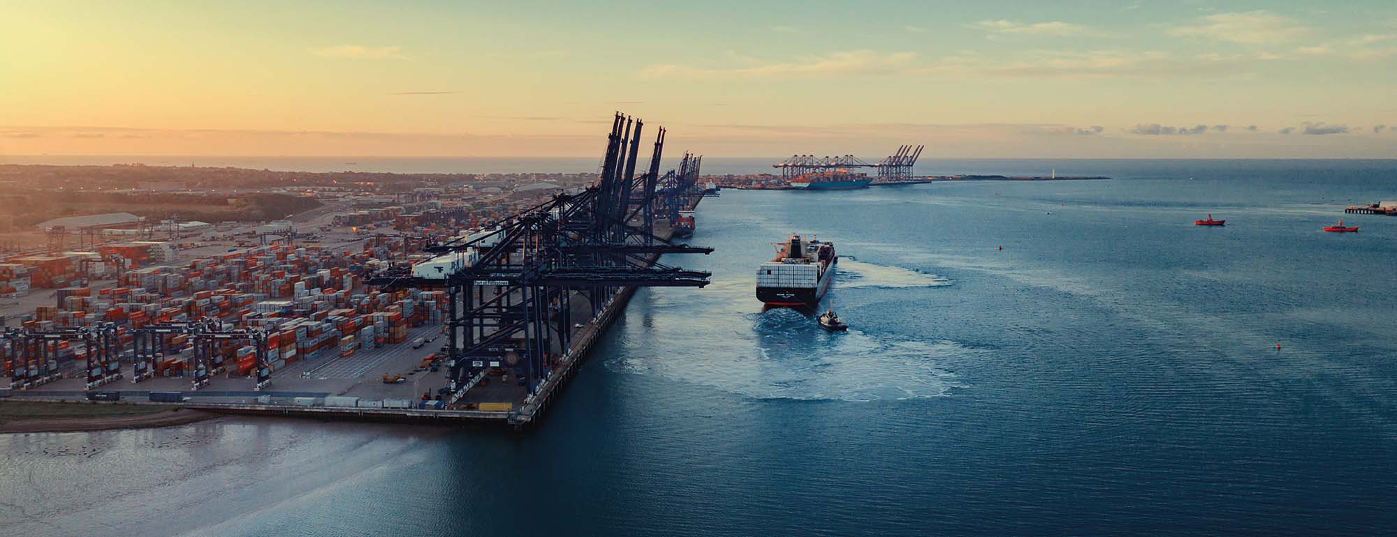 Fiscal representation Maco - SGS e-Customs - Customs Made Simple