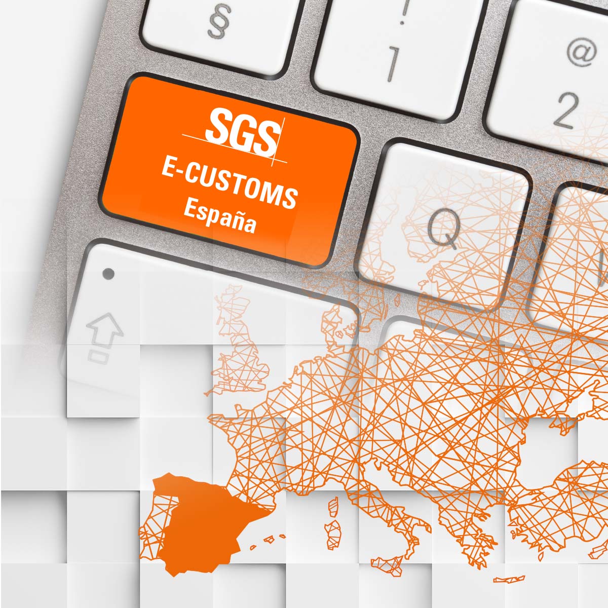 SGS e-Customs España - Facilitación Aduanera