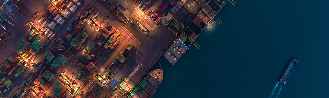 SGS e-Customs Netherlands EN - SGS e-Customs