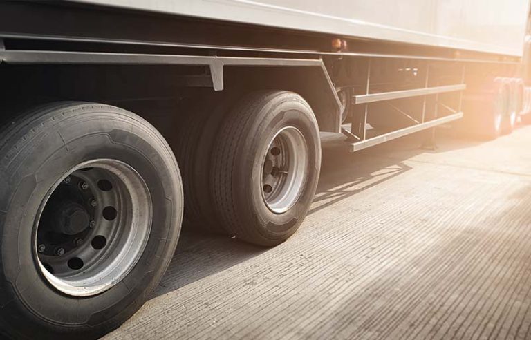 Customs Made Simple - SGS e-Customs