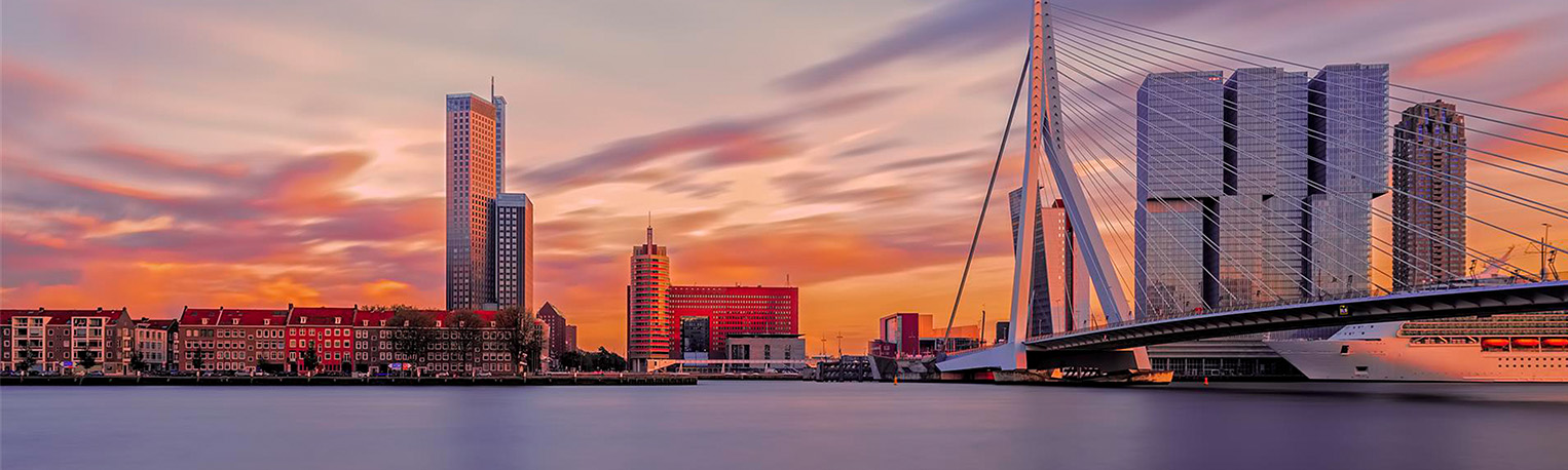 SGS e-Customs Netherlands EN - SGS e-Customs