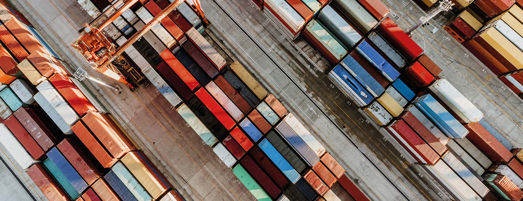 eCert - SGS e-Customs - Customs Made Simple