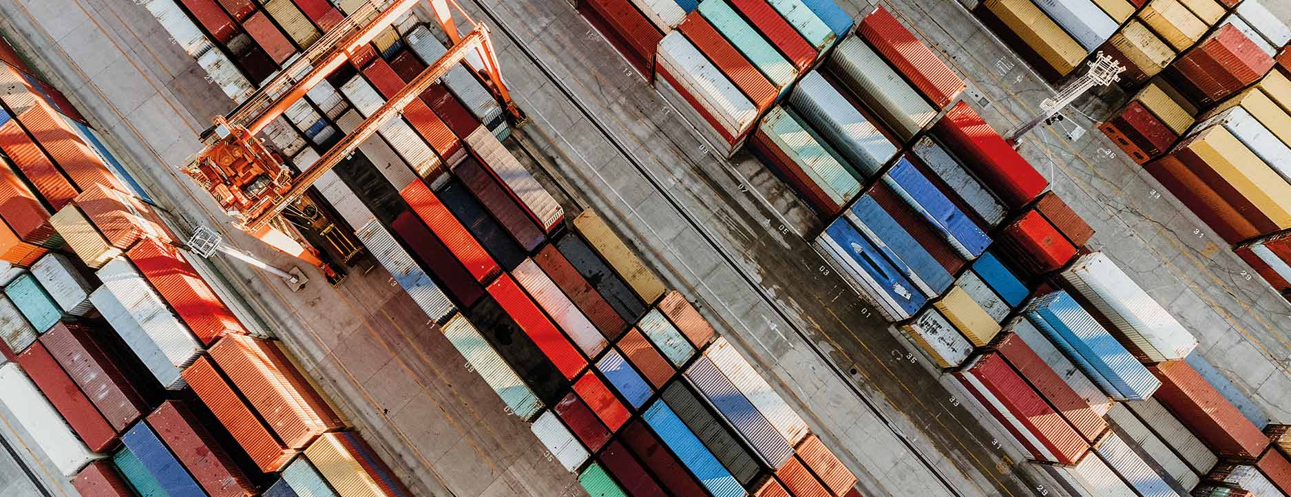 Customs Made Simple - SGS e-Customs